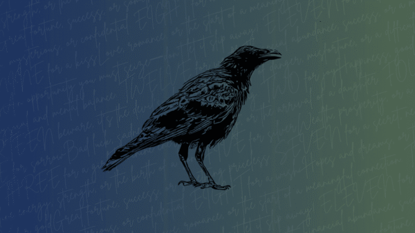 Counting Crows: The Rhyme and Its Meanings - Shadow Grimoire